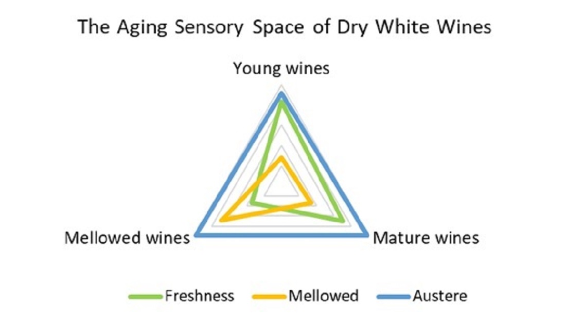 Understanding the Mellowing Effect of Bottle Aging on the Sensory and ...