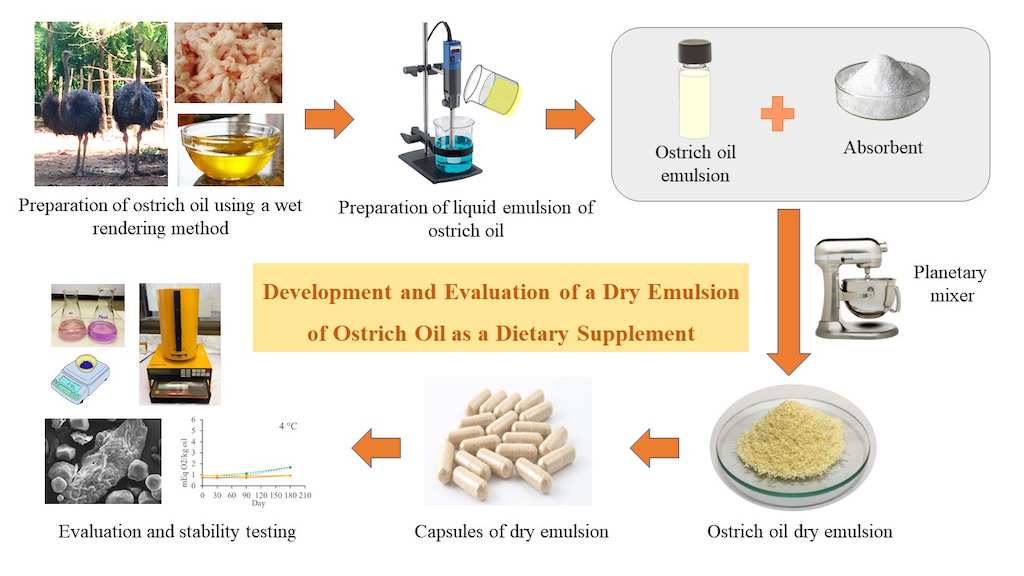Development and Evaluation of a Dry Emulsion of Ostrich Oil as a ...