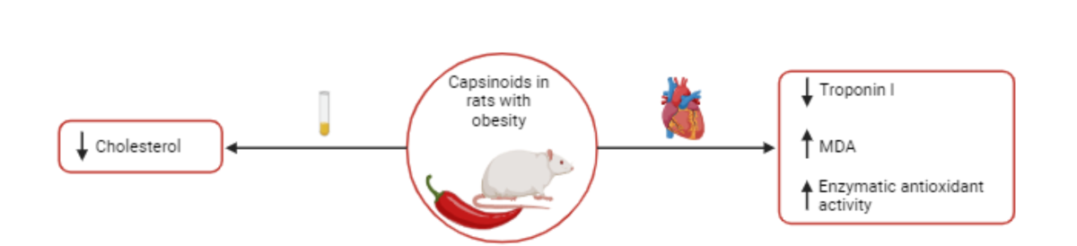Capsinoids Promotes an Increase in Enzyme Antioxidative Activity and ...