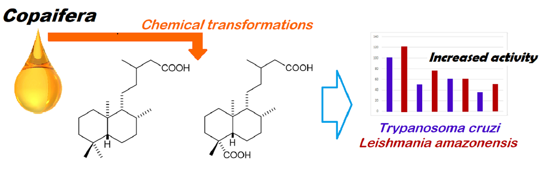 Antiparasitary Potential Of Natural And Semi-Synthetic Labdane ...