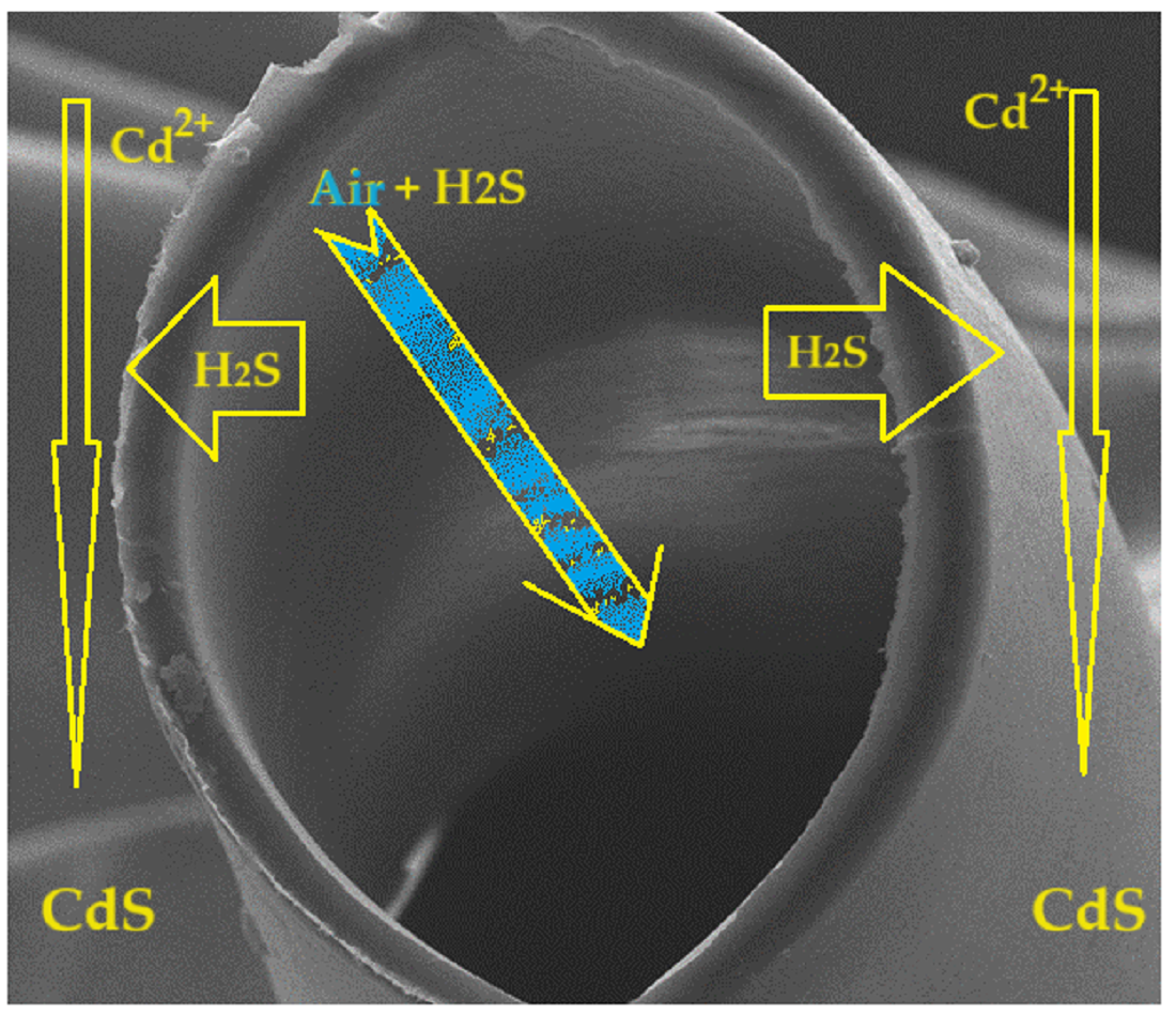 Reduction of Olfactory Discomfort in Inhabited Premises from Areas with ...