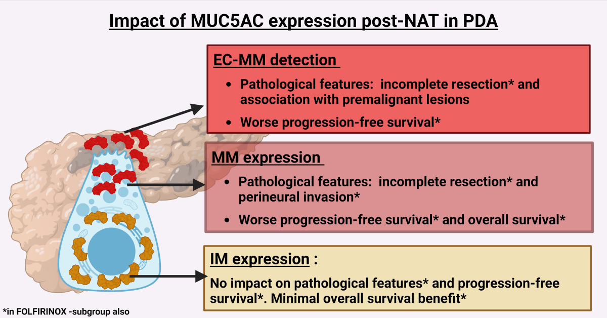Mature MUC5AC Expression in Resected Pancreatic Ductal Adenocarcinoma ...