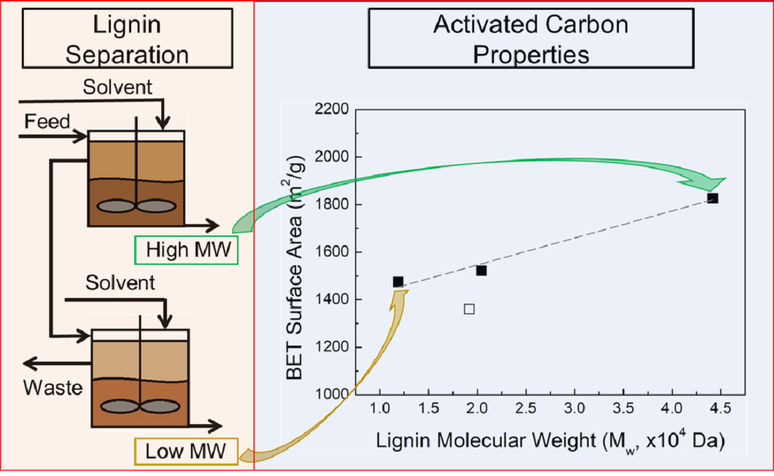 The Role of Lignin Molecular Weight on Activated Carbon Pore Structure ...