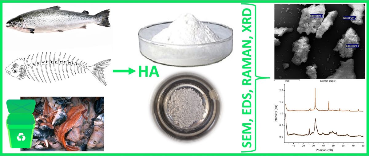 Efficient Hydroxyapatite Extraction From Salmon Bone Waste: An Improved ...