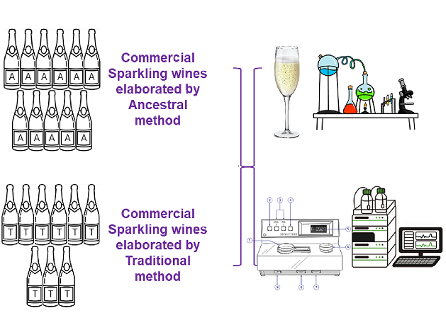 Assessment of Physicochemical and Sensory Characteristics of Commercial ...