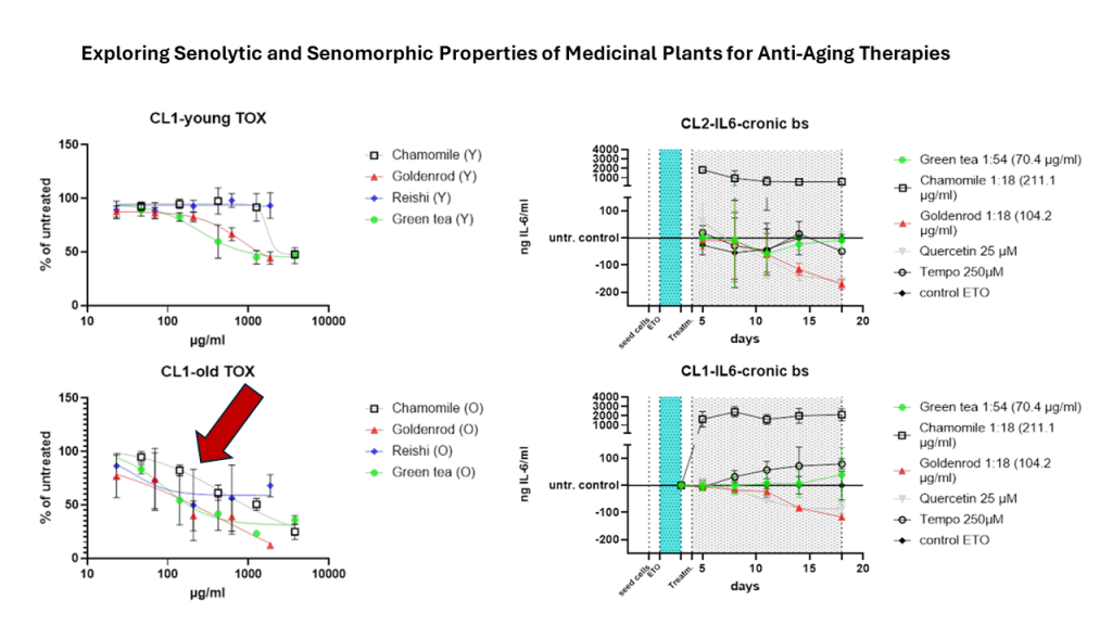 Exploring Senolytic and Senomorphic Properties of Medicinal Plants for ...