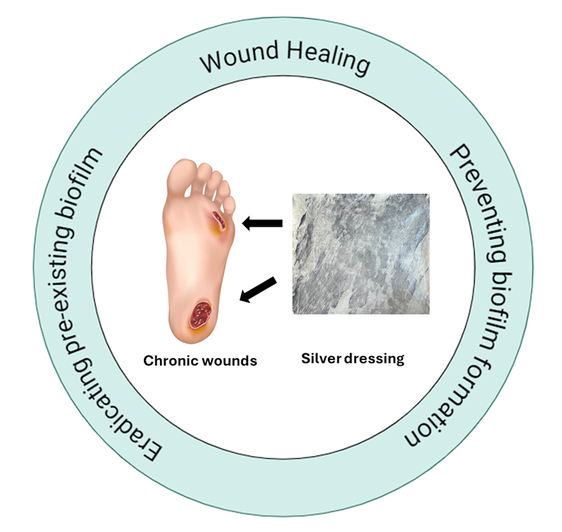 Commercial Silver-based Dressings: In vitro and Clinical Studies in ...