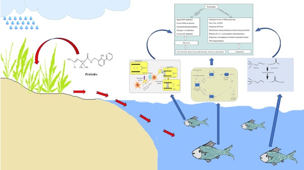 Pesticides’ Mode of Action on Aquatic Life[v3] | Preprints.org