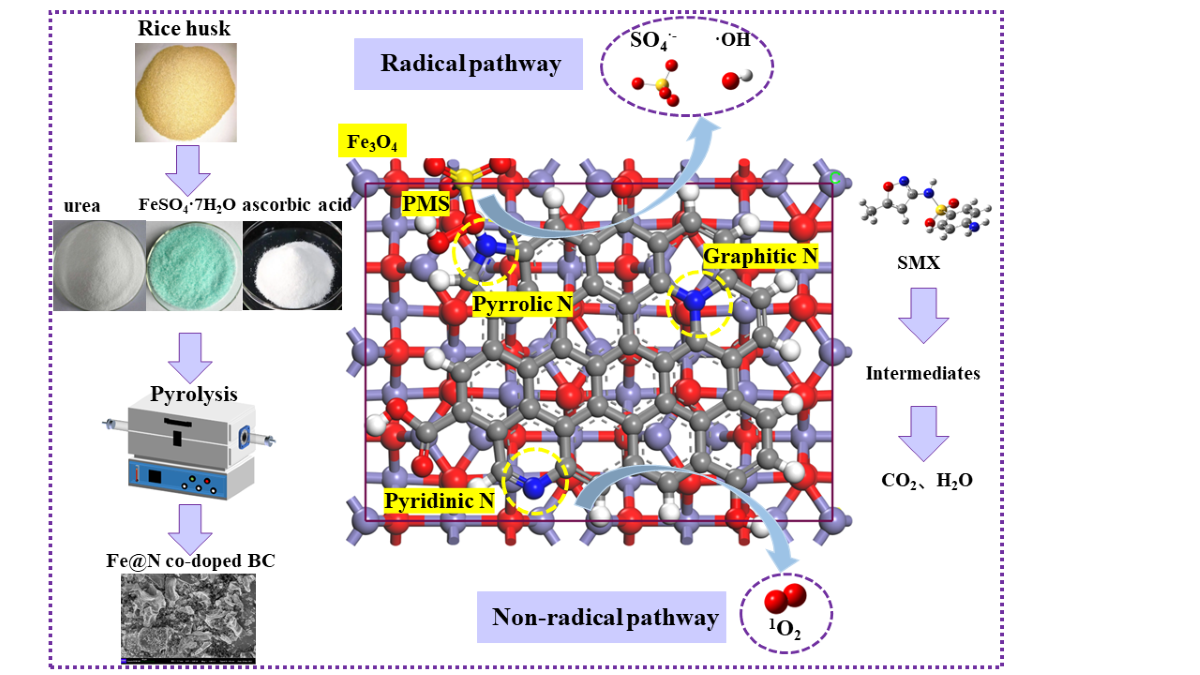 Peroxymonosulfate Activation by Fe@N Co-doped BC for the Degradation of Sulfamethoxazole: The ...