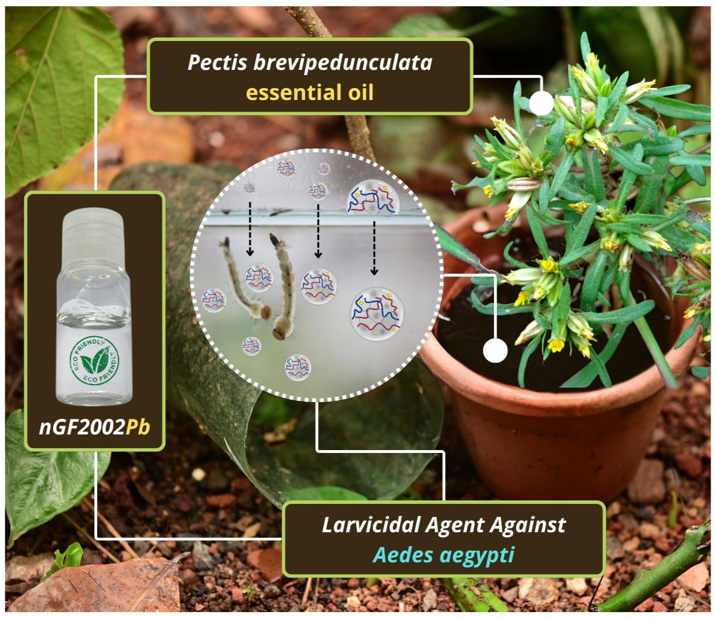 Development of an Eco-Friendly Nanogel Incorporating Pectis ...