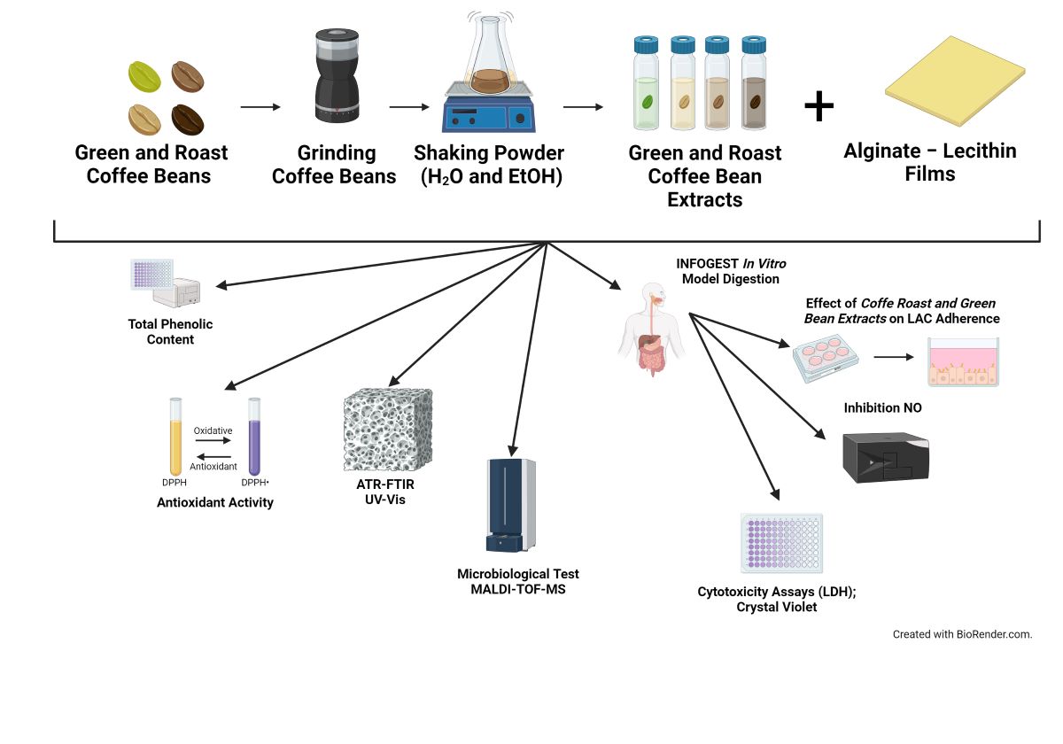 Edible Alginate- Lecithin Films Enriched with Different Coffee Bean ...