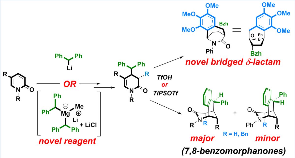 Direct Synthesis of Benzhydryl-Functionalized 3,4-Dihydropyridin-2-Ones ...