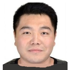 The Morphologically Controlled Synthesis and Application of Mesoporous ...