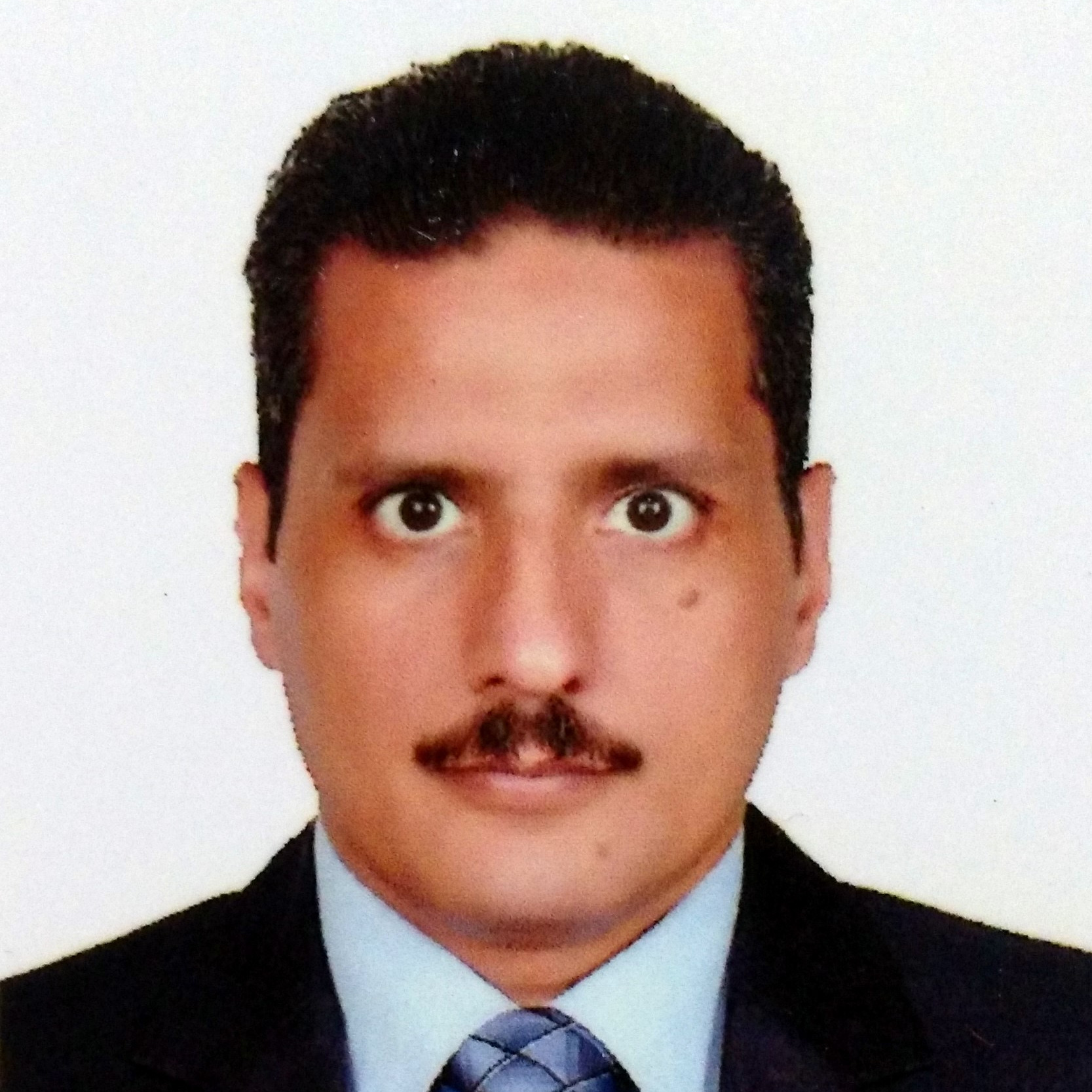 Applying Fuzzy Decision-Making and Markov Chain Modelling for Detecting Life Cycle of RC Bridges ...