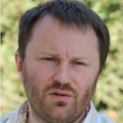 In vitro study of bacterial adhesion and biofilm growth on fresh ...