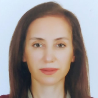 Experimental and Density Functional Theory (DFT): a Dual Approach for the Adsorption of Cd (II ...