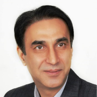 Neuroprotective Effect of Curcumin on Factors Involved in Neurogenesis ...