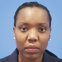 The Effect of Initiation Time Delay and Sequencing on Rock Damage in ...