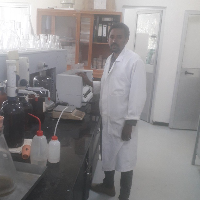 Evaluation of Agronomic Performance, Forage Yield, and Nutritive Value ...