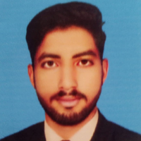 Effect of Pomegranate (Punica granatum) Peel Extract Powder on the ...