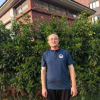 Golden Angle Modulation in Complex Dimension Two[v1] | Preprints.org