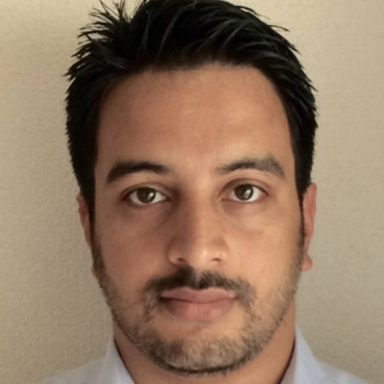 Plant-Derived Saponins: A Review of Their Surfactant Properties and Applications[v1] | Preprints.org