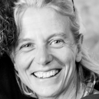 Assessment of the Potential Contribution of the Urban Green System to ...