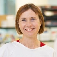 Enhancement of Doxorubicin Efficacy by Bacopaside II in Triple-Negative ...