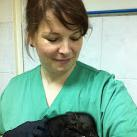 Microbiological Risk Assessment of Water and Fish-Related Foodborne ...