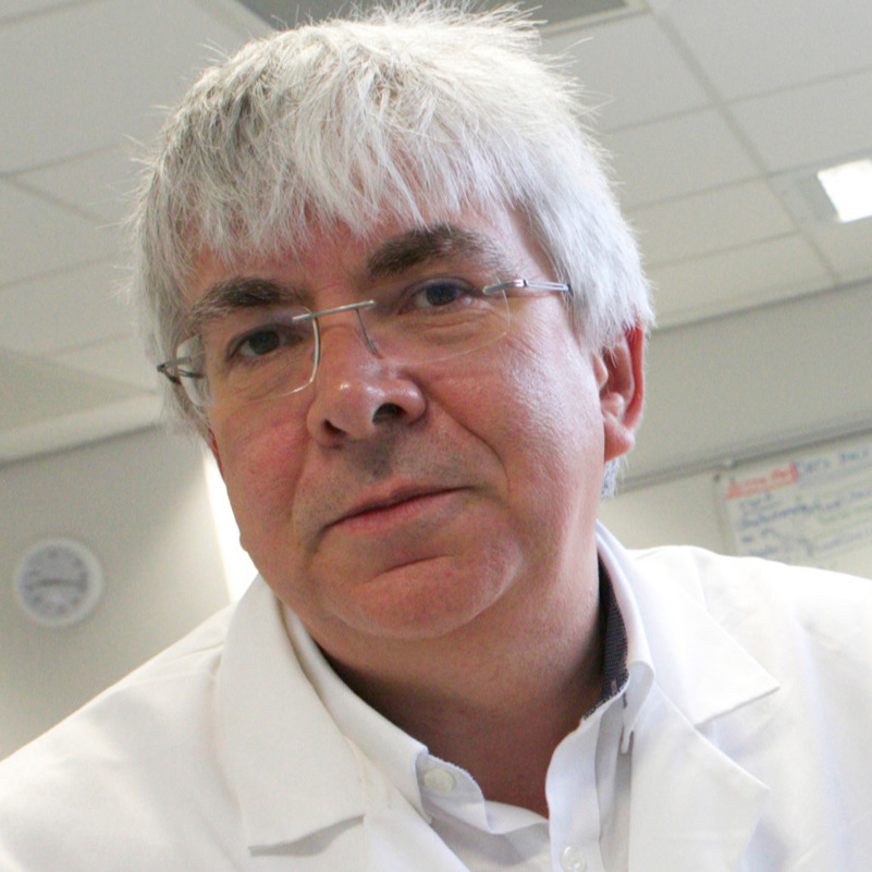 Extracellular Hsp70 and Circulating Endometriotic Cells as Novel ...